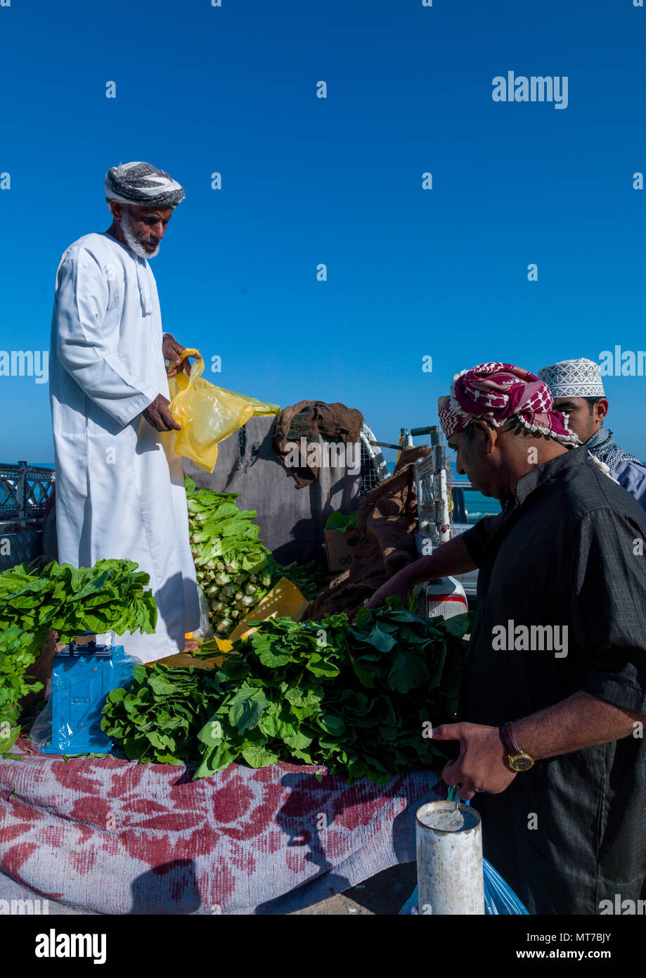 Old mani man selling vegetables on the back of his car, Al Batinah ...