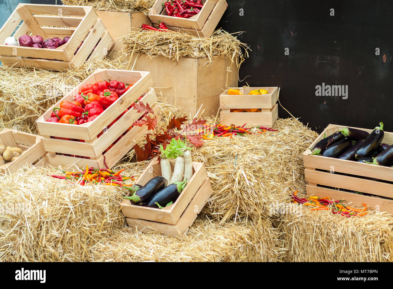 Vegetables in wooden boxes. Autumn composition. Farm Products Stock ...