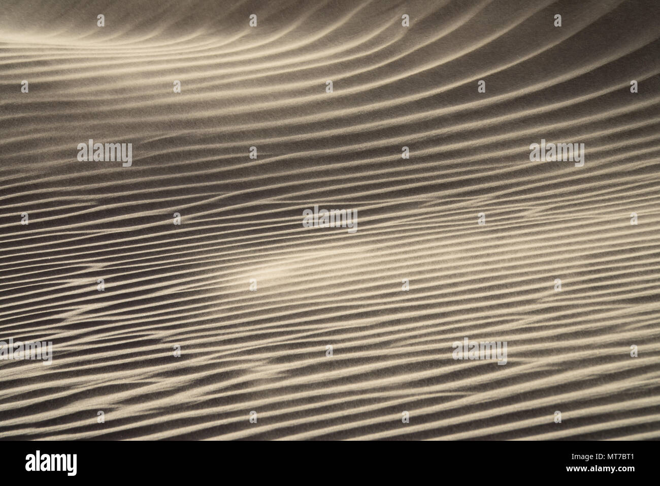 Wind blowing over sand dunes Stock Photo - Alamy