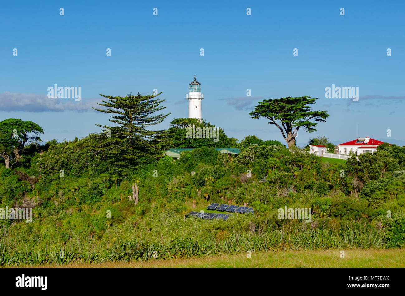 Matangi hi-res stock photography and images - Alamy