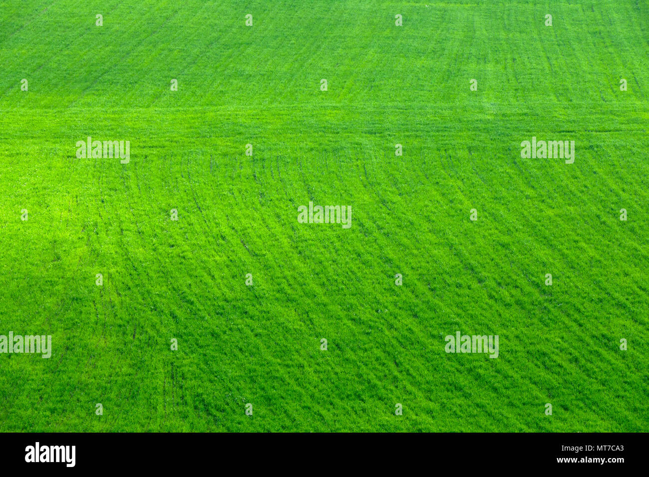 Green grass on field aerial hi-res stock photography and images - Alamy