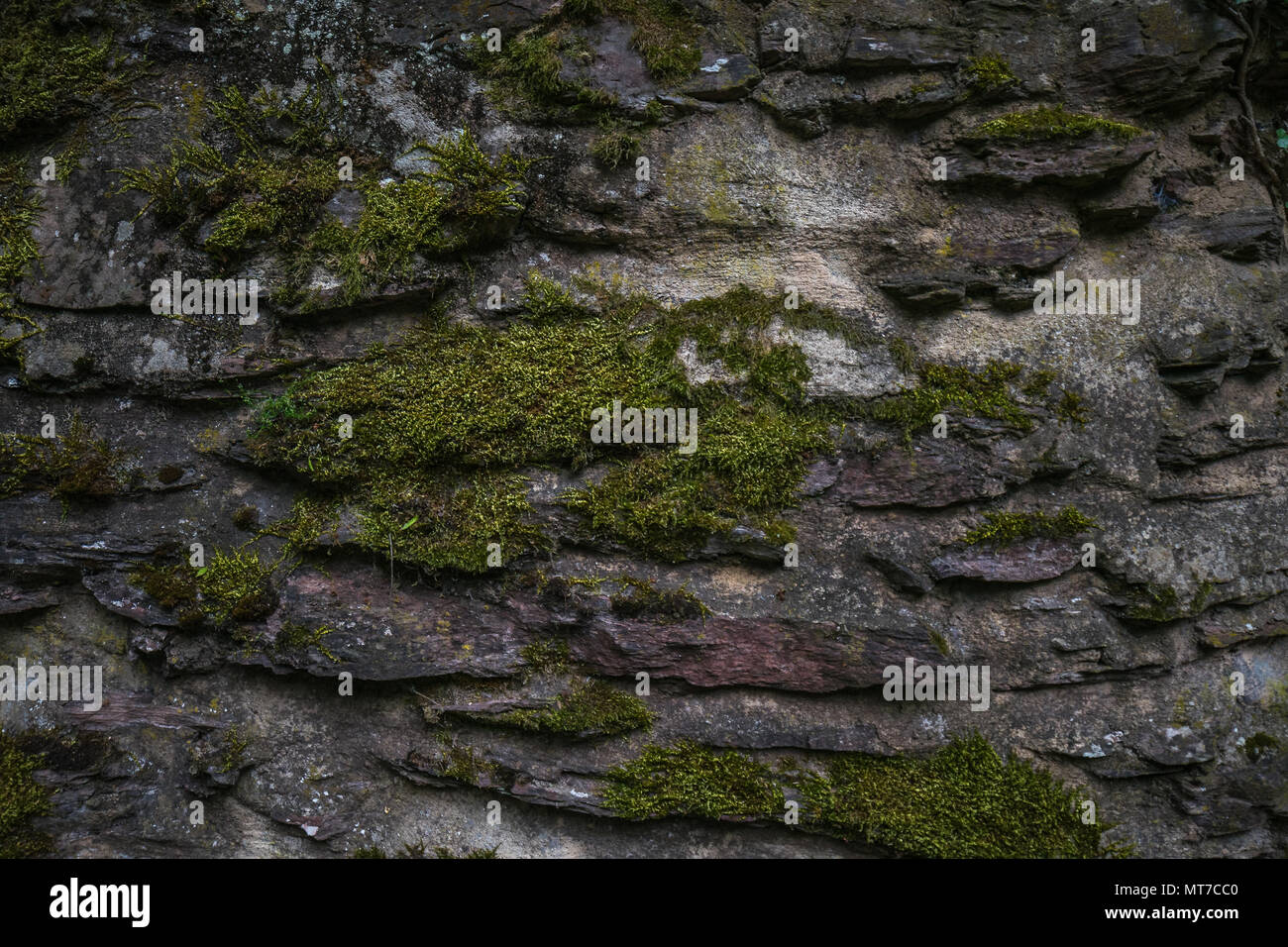 Walls texture hi-res stock photography and images - Alamy