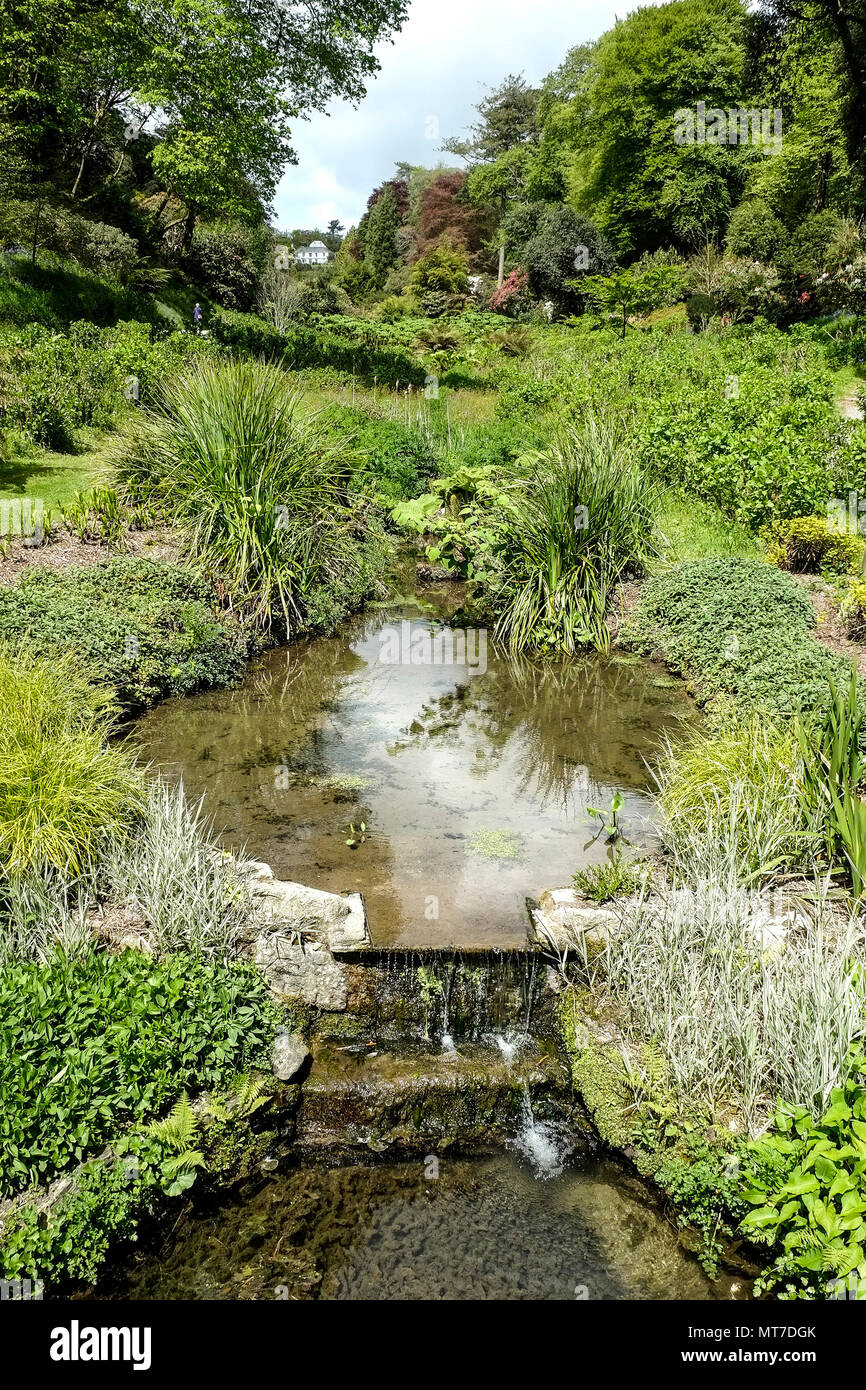 A small stream trickling over a cascade in the sub-tropical Trebah ...