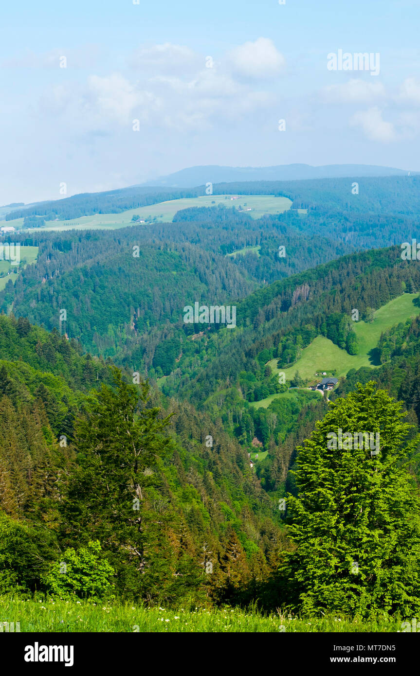 Black Forest landscape, Germany Stock Photo - Alamy