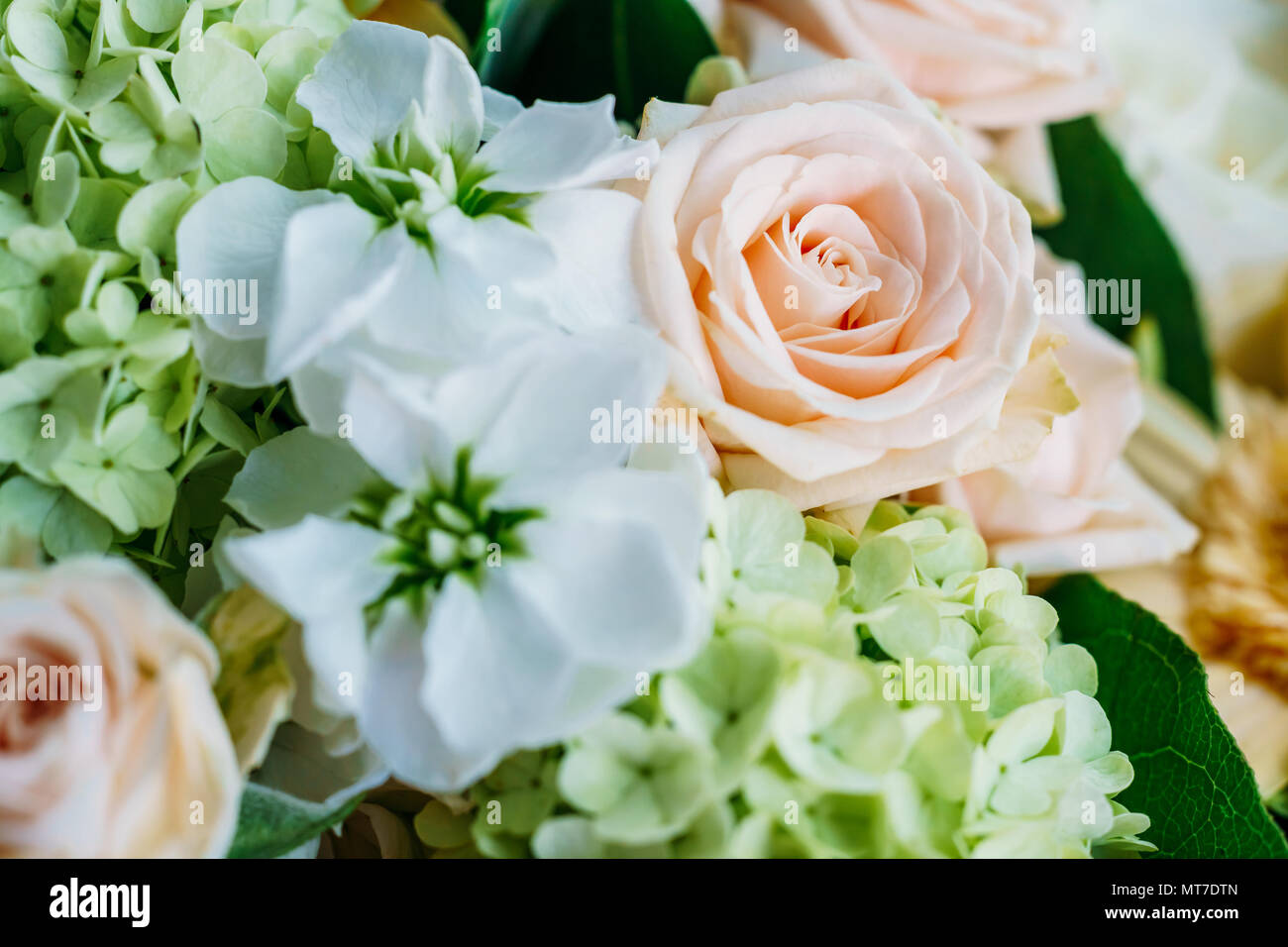 Pink Roses Flower Wedding Bouquet Stock Photo - Alamy