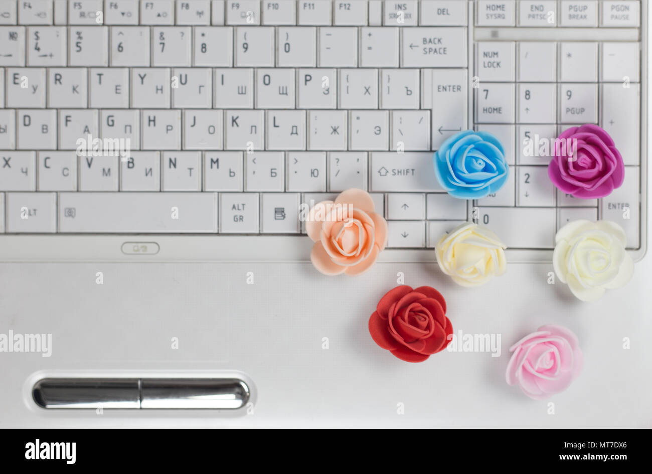 Red rose on laptop computer hi-res stock photography and images - Alamy