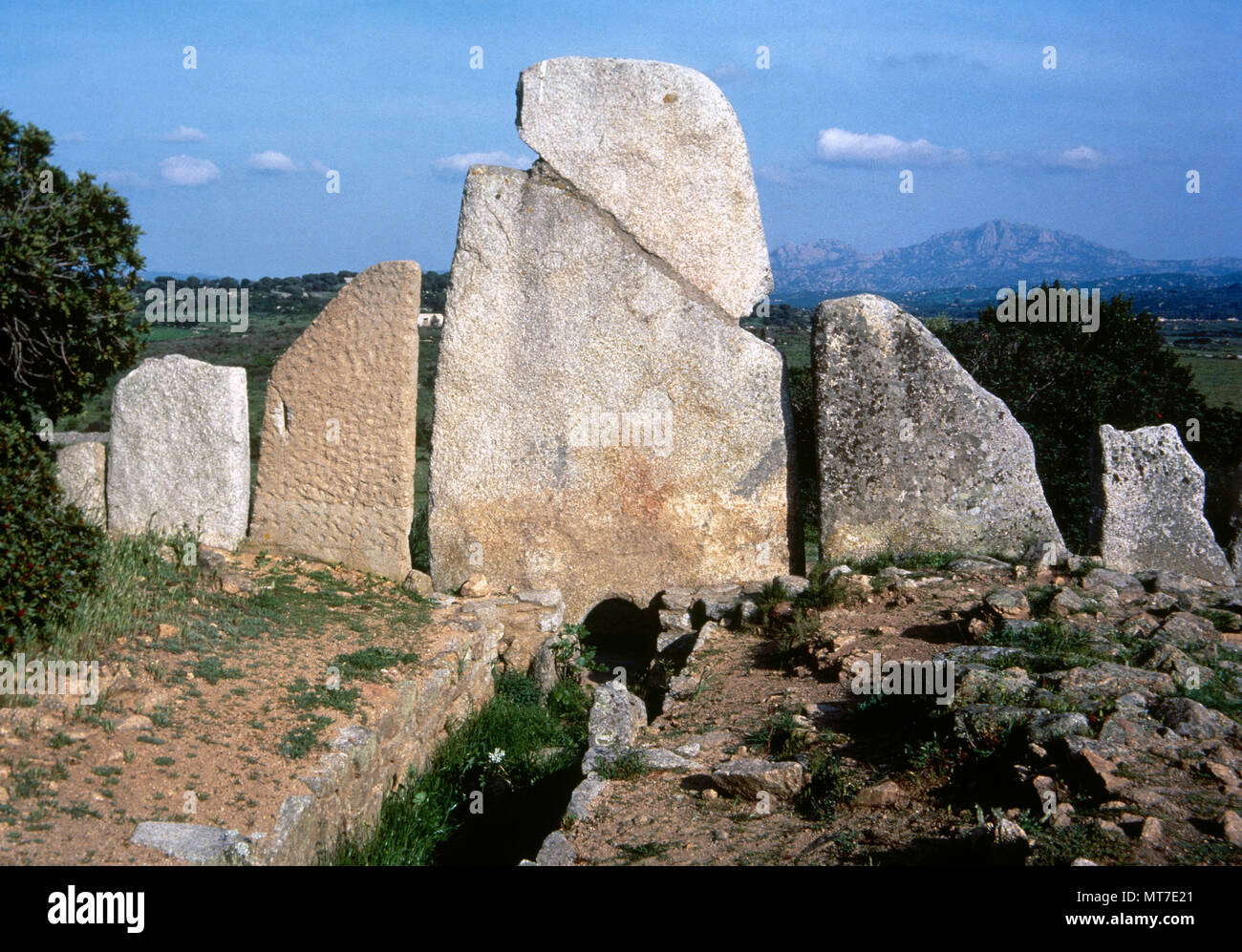 Giants' tomb. Li Lolghi. Nuragic funerary monument, near Arzachena ...