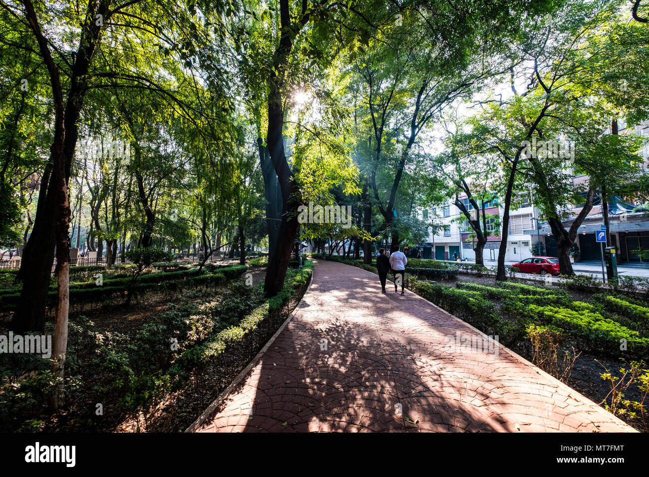 Parque Mexico, Colonia Condesa, CDMX, Mexico, city Stock Photo - Alamy