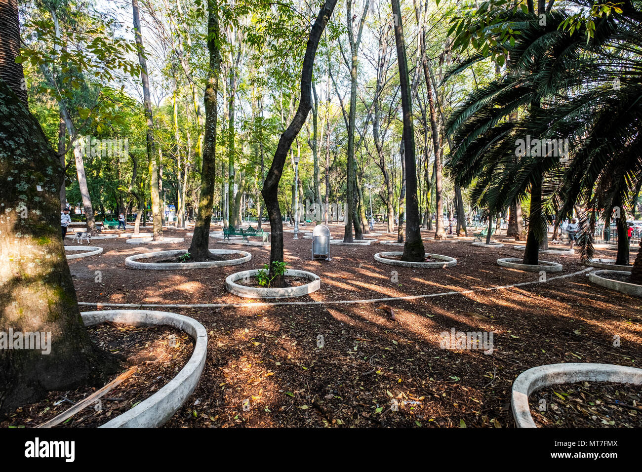 Parque méxico cdmx condesa hi-res stock photography and images - Alamy