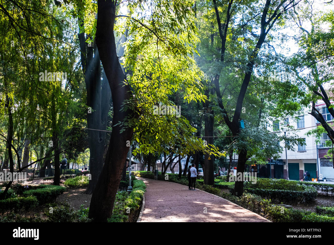 Parque Mexico, Colonia Condesa, CDMX, Mexico, city Stock Photo - Alamy