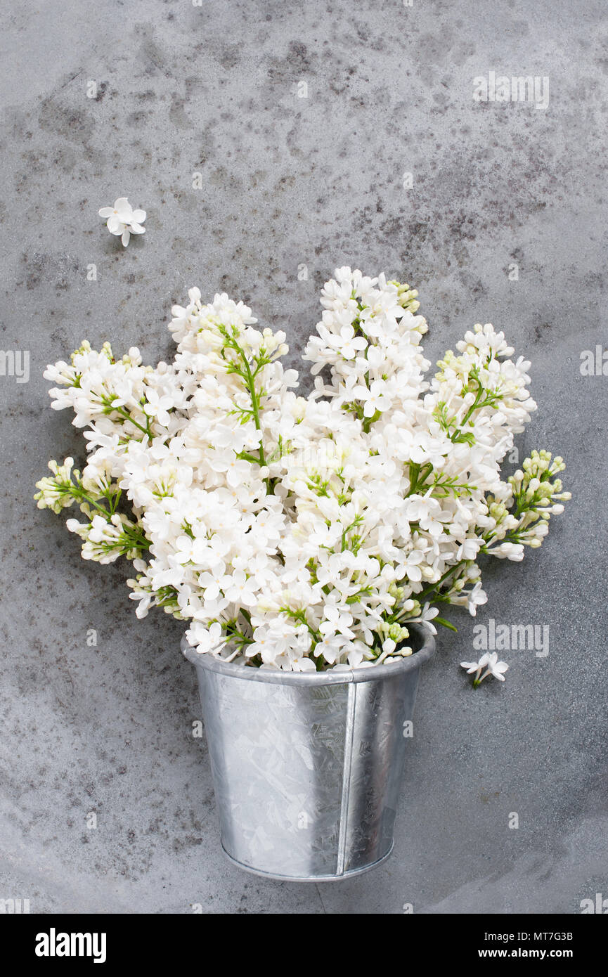 Bouquet of white lilac in the metal bucket on the textured grey table ...