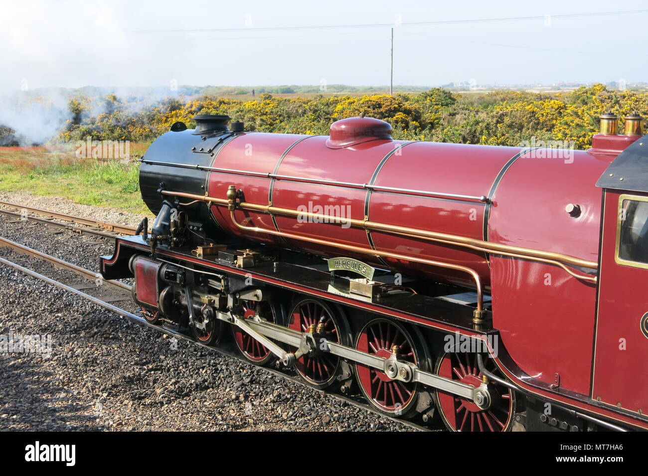 Steam locomotive Hercules in its fine red livery on the Romney, Hythe ...
