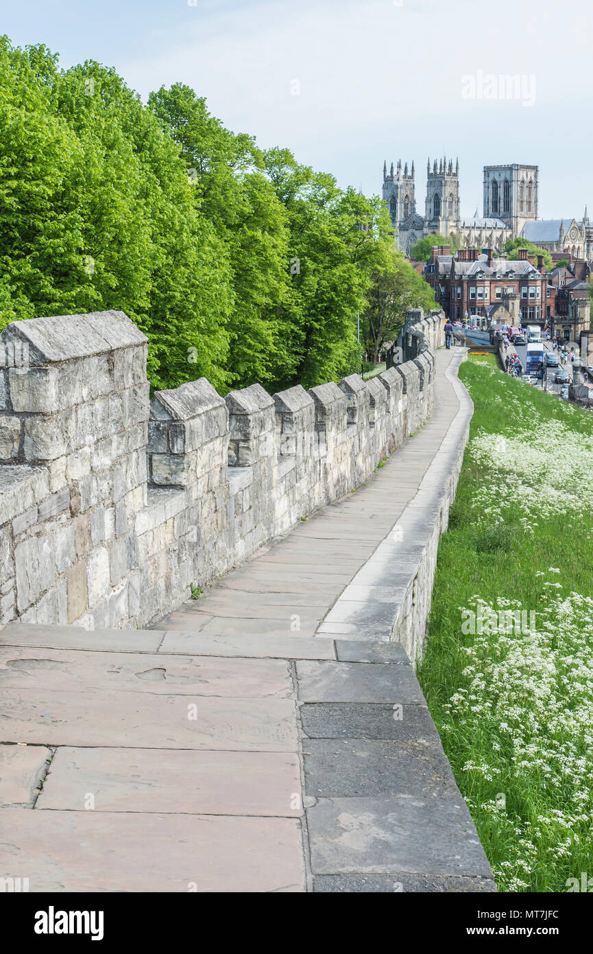 Street scene along the city wall ramparts looking toward York Minster ...