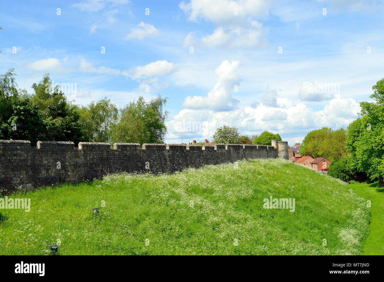 Roman wall surrounding York City centre in Yorkshire UK Stock Photo - Alamy