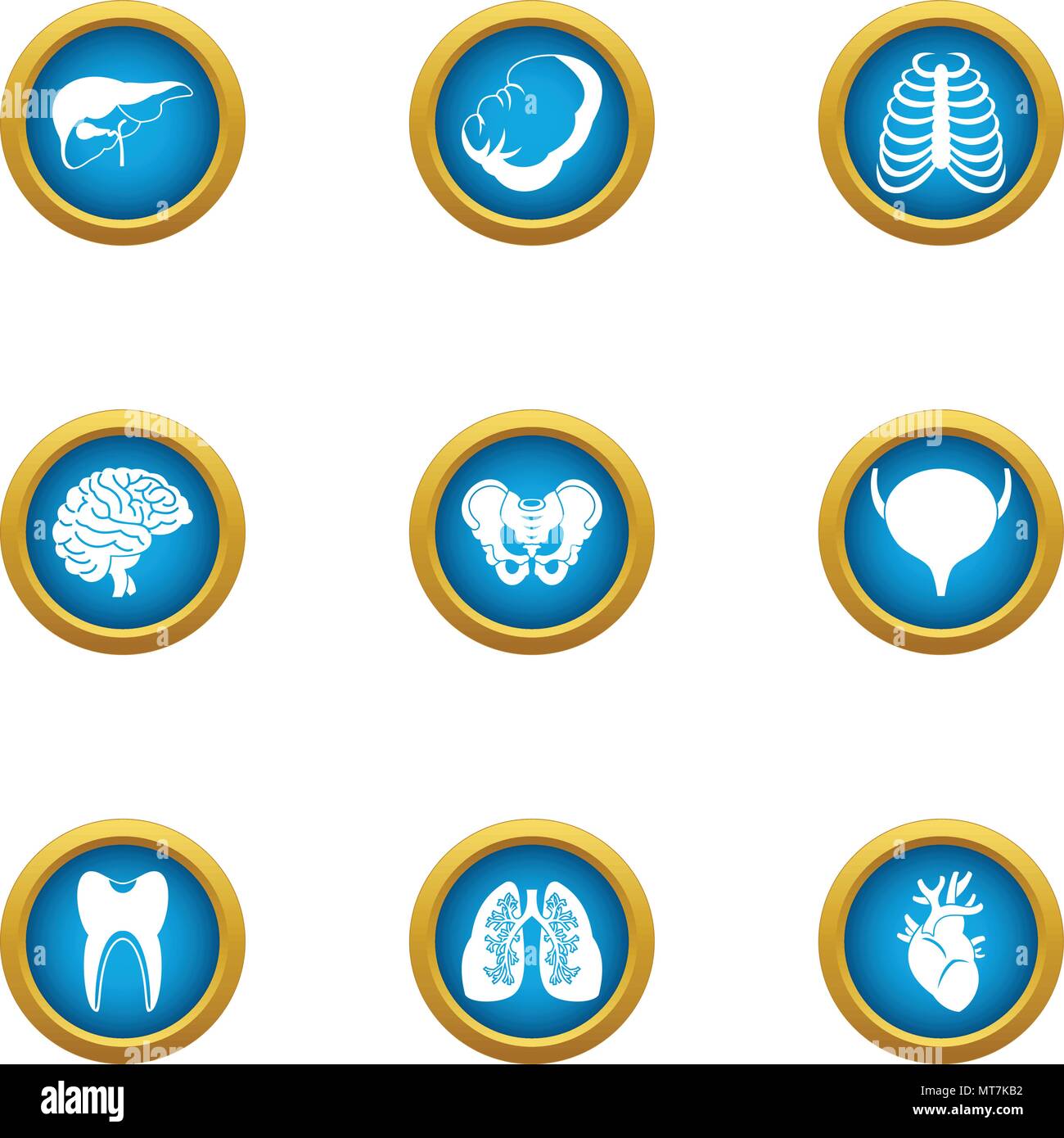 Healthy organ icons set, flat style Stock Vector Image & Art - Alamy