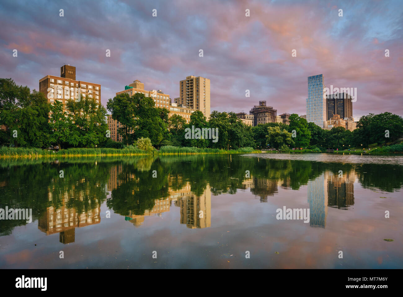 Harlem Meer at sunset, in Central Park, Manhattan, New York City Stock ...