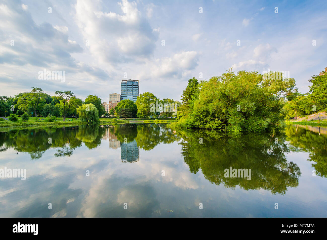 Harlem Meer in Central Park, Manhattan, New York City Stock Photo - Alamy