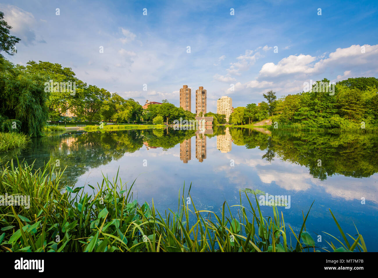 Harlem Meer in Central Park, Manhattan, New York City Stock Photo - Alamy