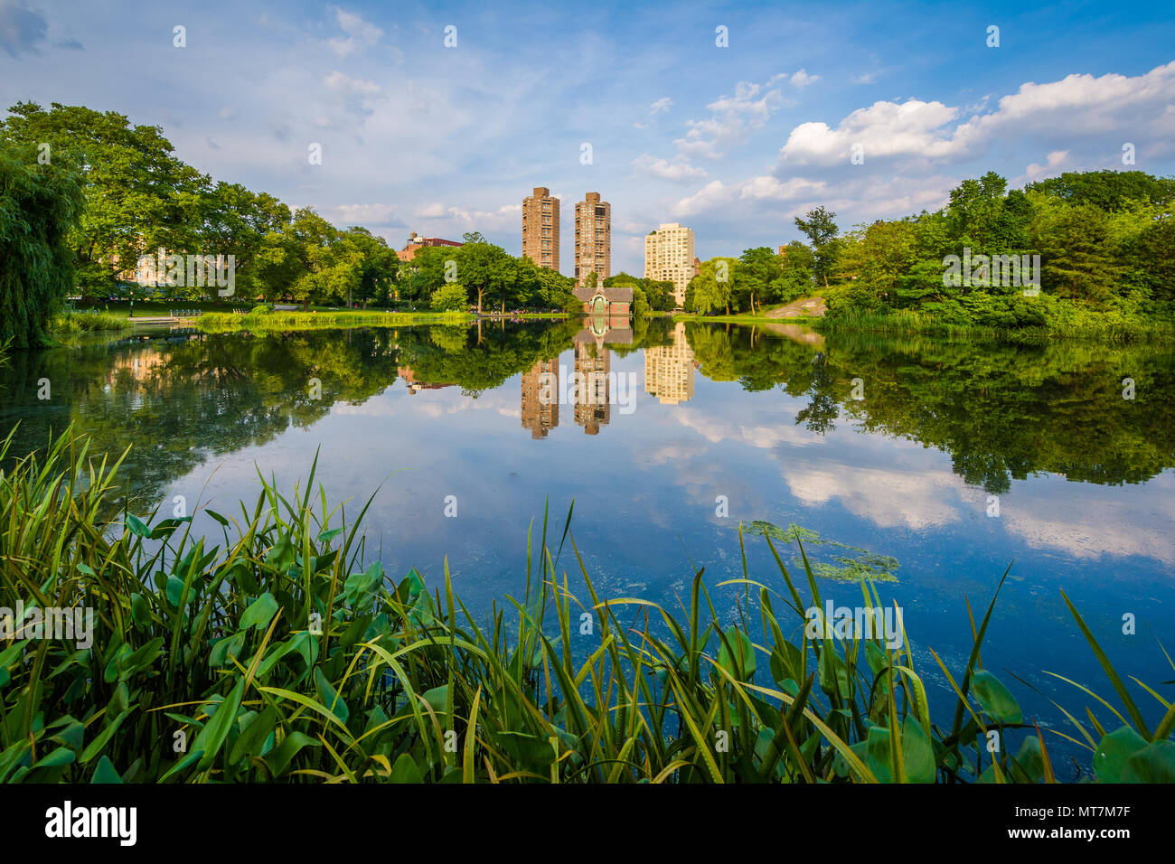 Harlem Meer in Central Park, Manhattan, New York City Stock Photo - Alamy