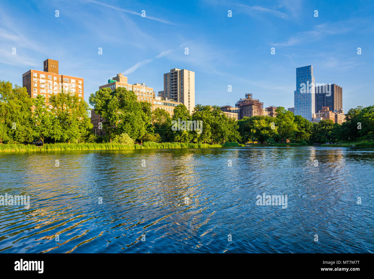 Harlem Meer, at Central Park in Manhattan, New York Stock Photo - Alamy