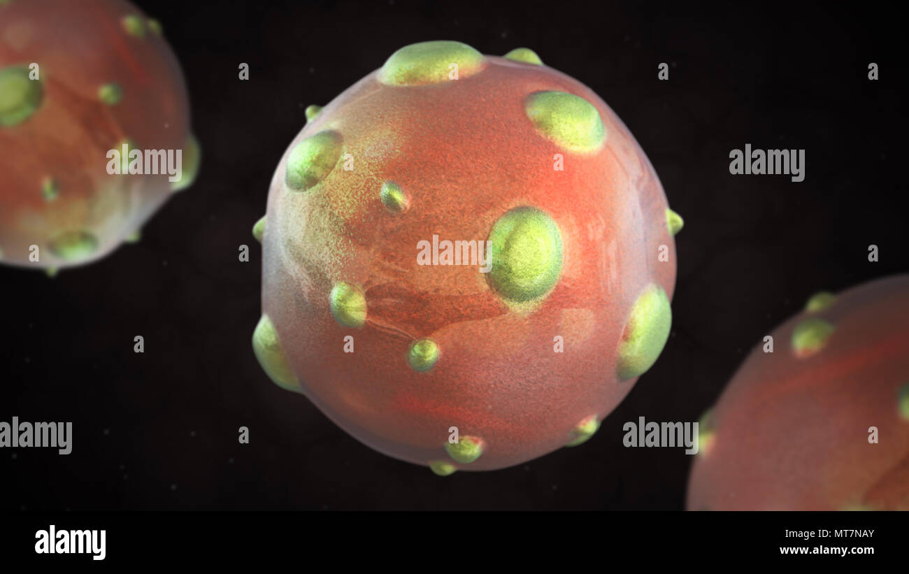 Hantavirus microscope hi-res stock photography and images - Alamy
