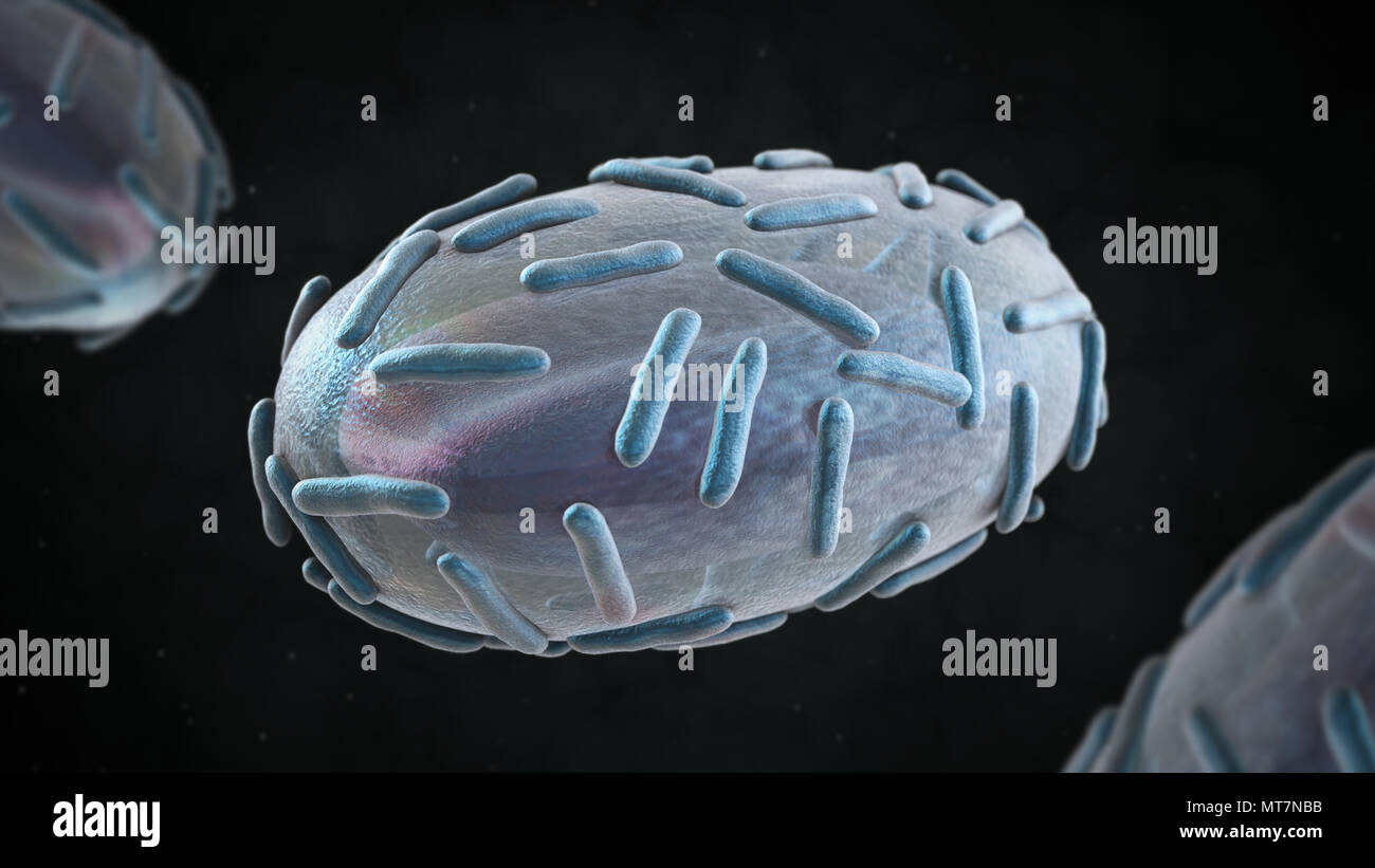3D illustration of smallpox virus Stock Photo - Alamy