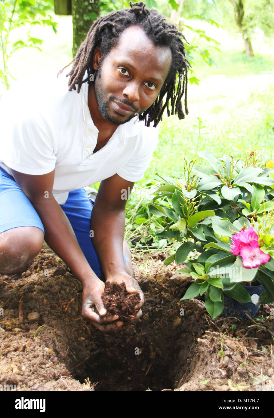 A Gardner planting a flower Stock Photo - Alamy