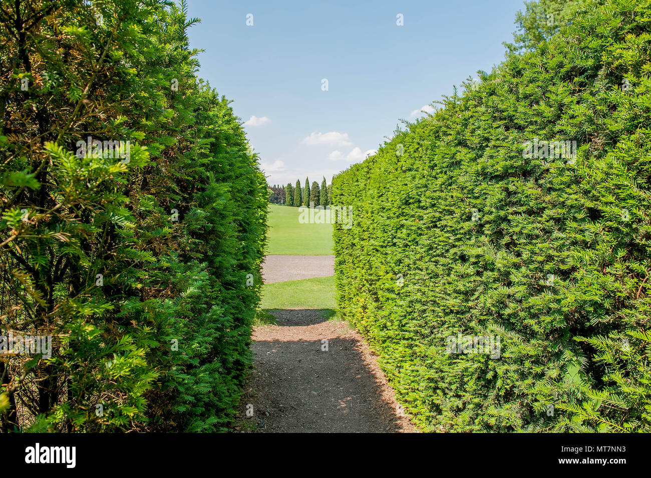 Pavement maze hi-res stock photography and images - Alamy
