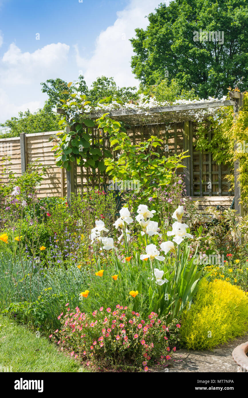 Irises border hi-res stock photography and images - Alamy