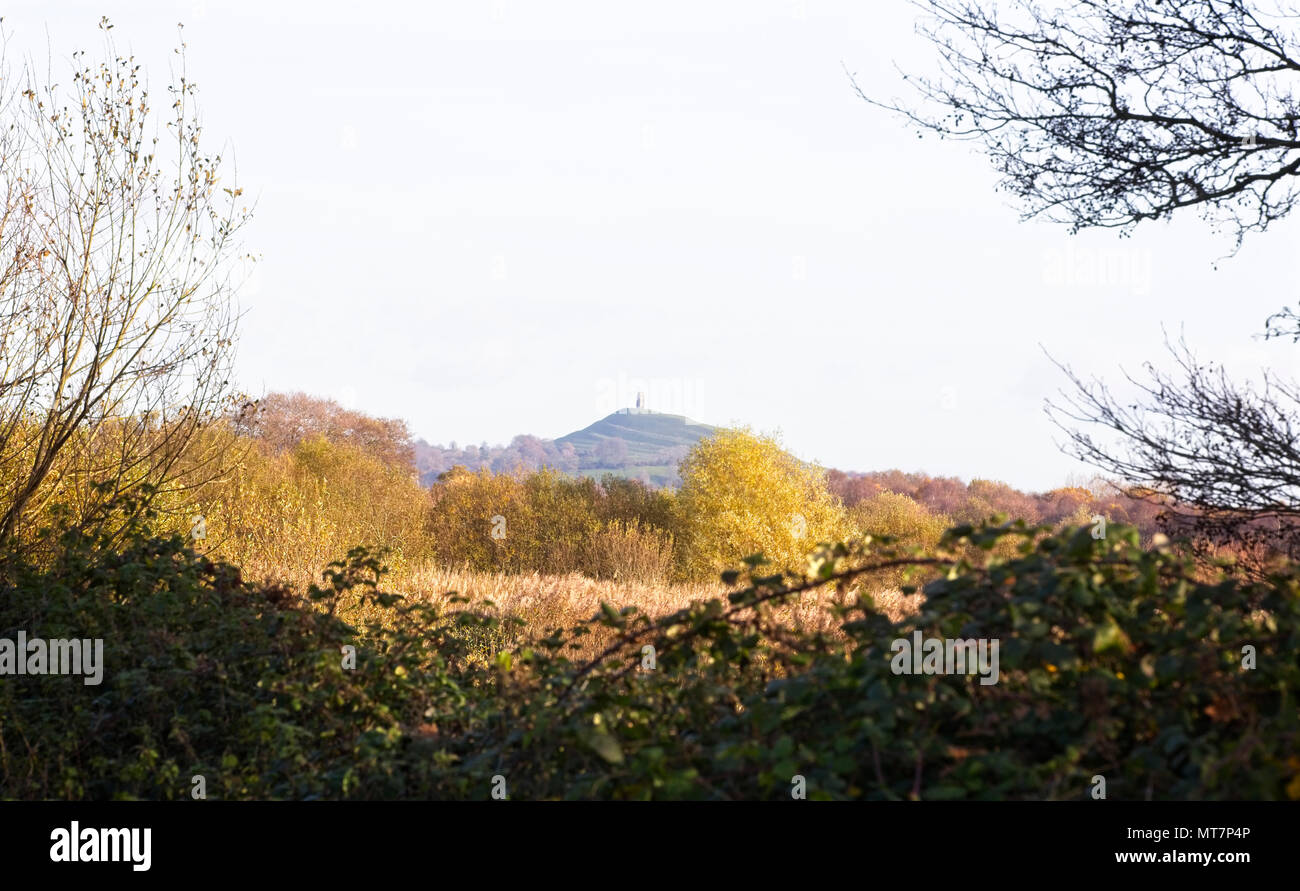 Glastonbury Tor from the RSPB's Ham Wall Nature Reserve, Somerset ...