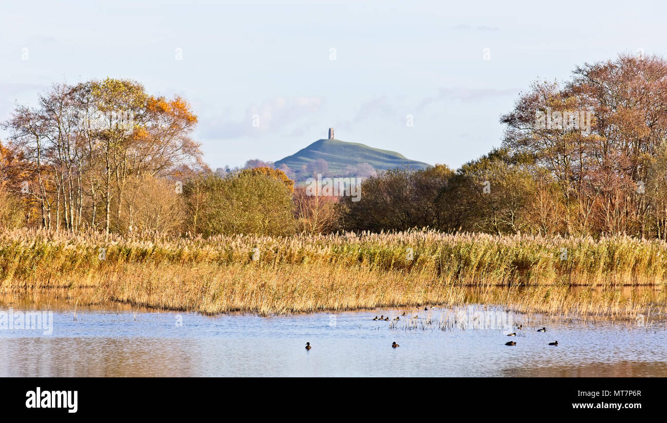 Ham wall glastonbury tor hi-res stock photography and images - Alamy