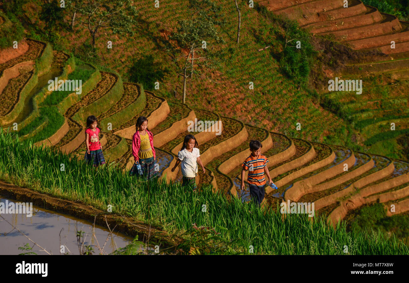 Children playing in rice field hi-res stock photography and images - Alamy