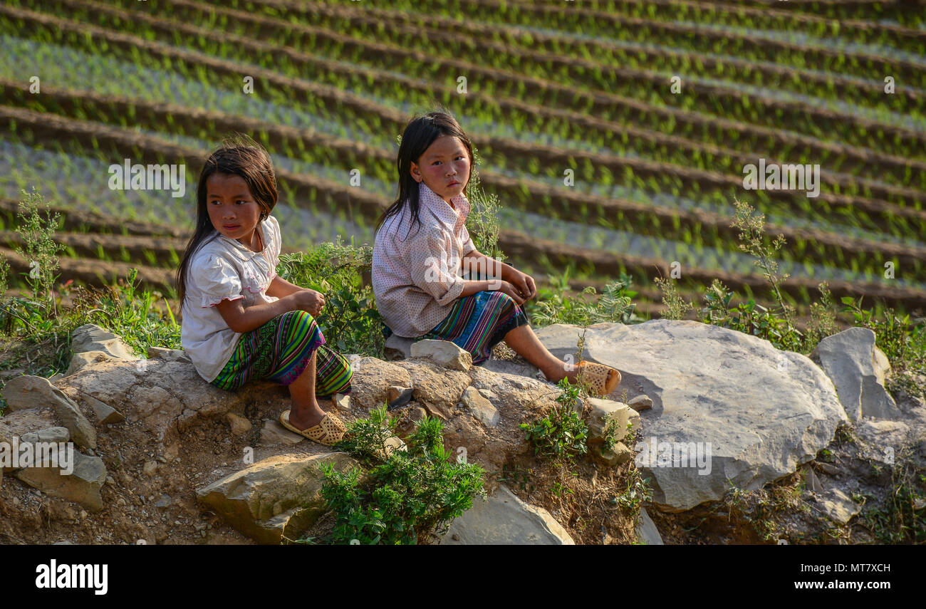 Sapa, Vietnam - May 28, 2016. Children sitting on rice field in Sapa ...