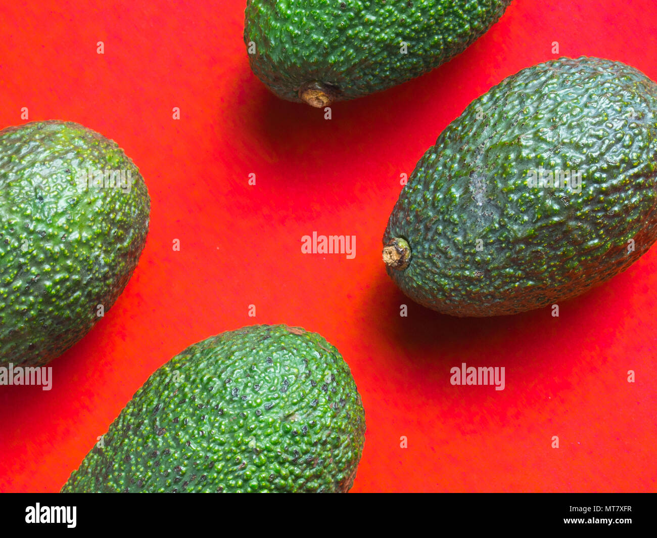 Avocados on red background Stock Photo - Alamy