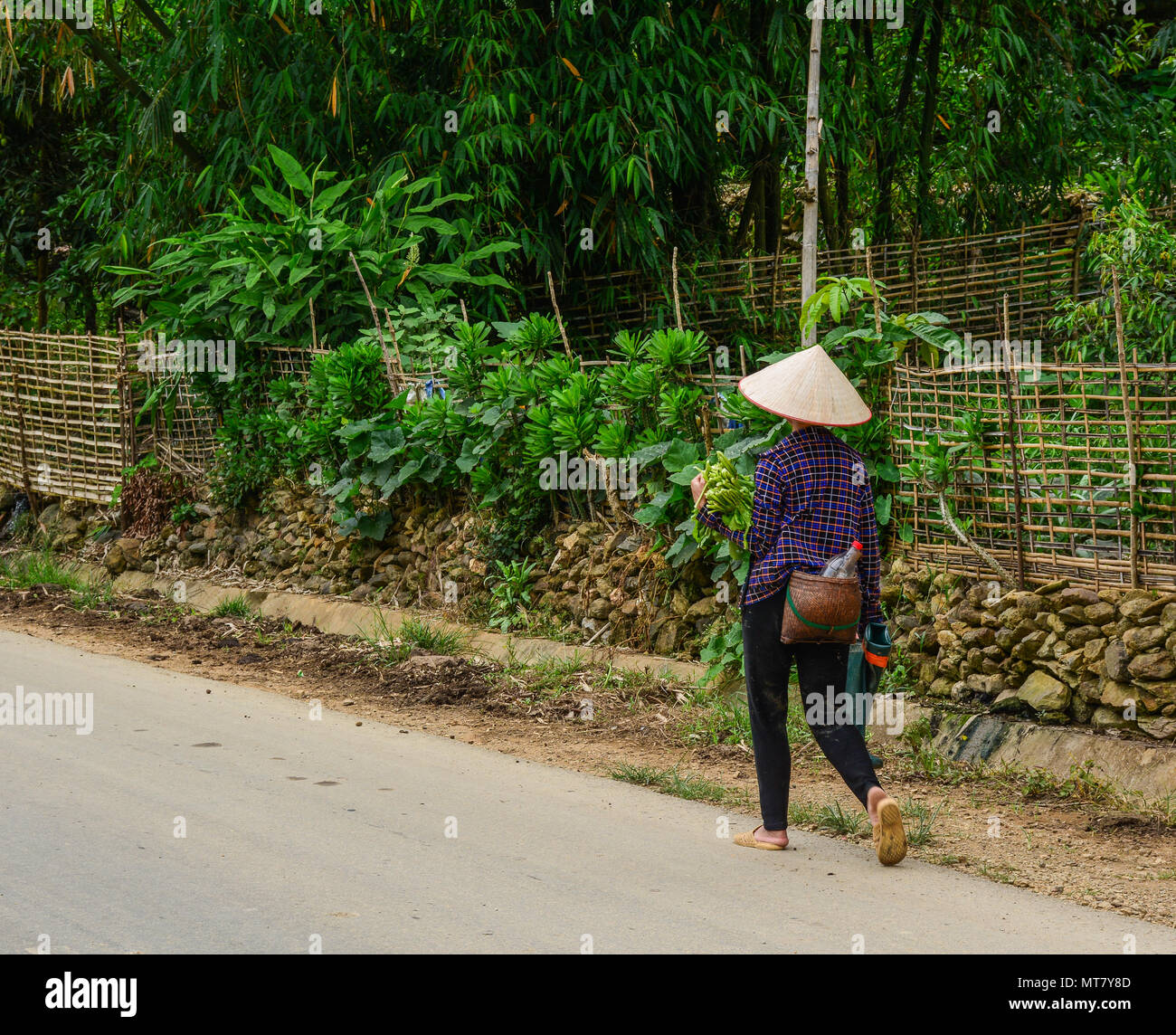 Vietnam cambodia rural woman hi-res stock photography and images - Alamy