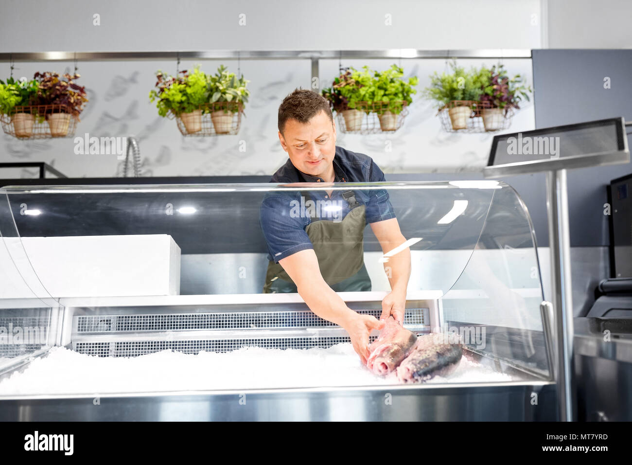 Trout showcase hi-res stock photography and images - Alamy