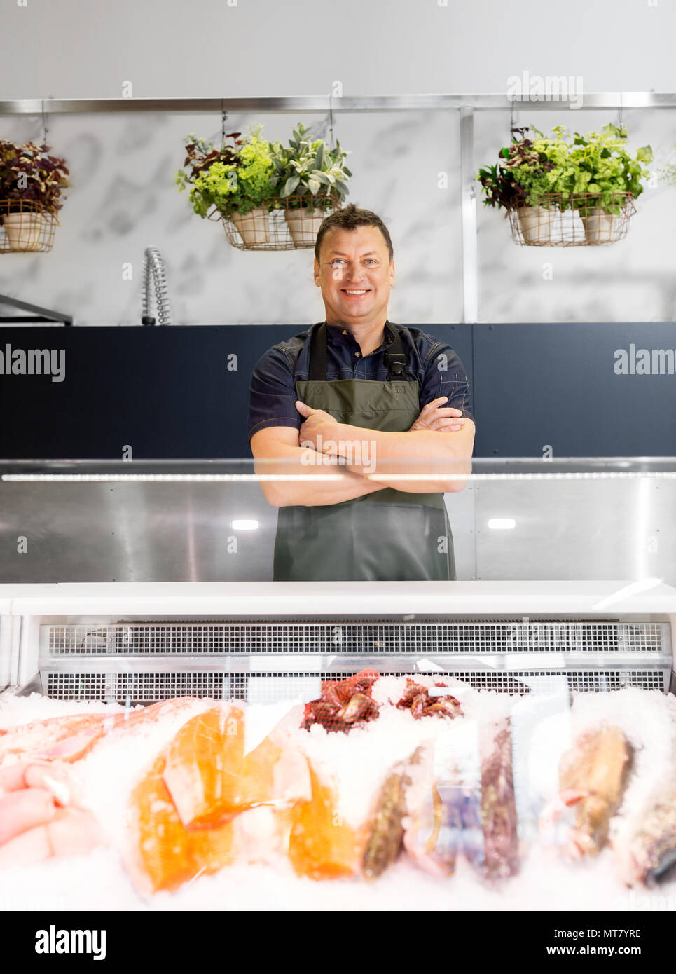 Fresh fishmonger shop equipment hi-res stock photography and images - Alamy