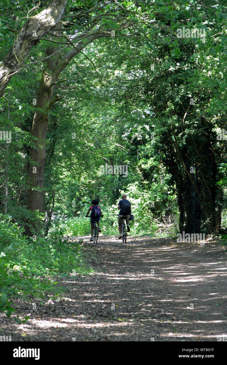 Cyclists on the Marriott's Way long-distance footpath cycleway between ...