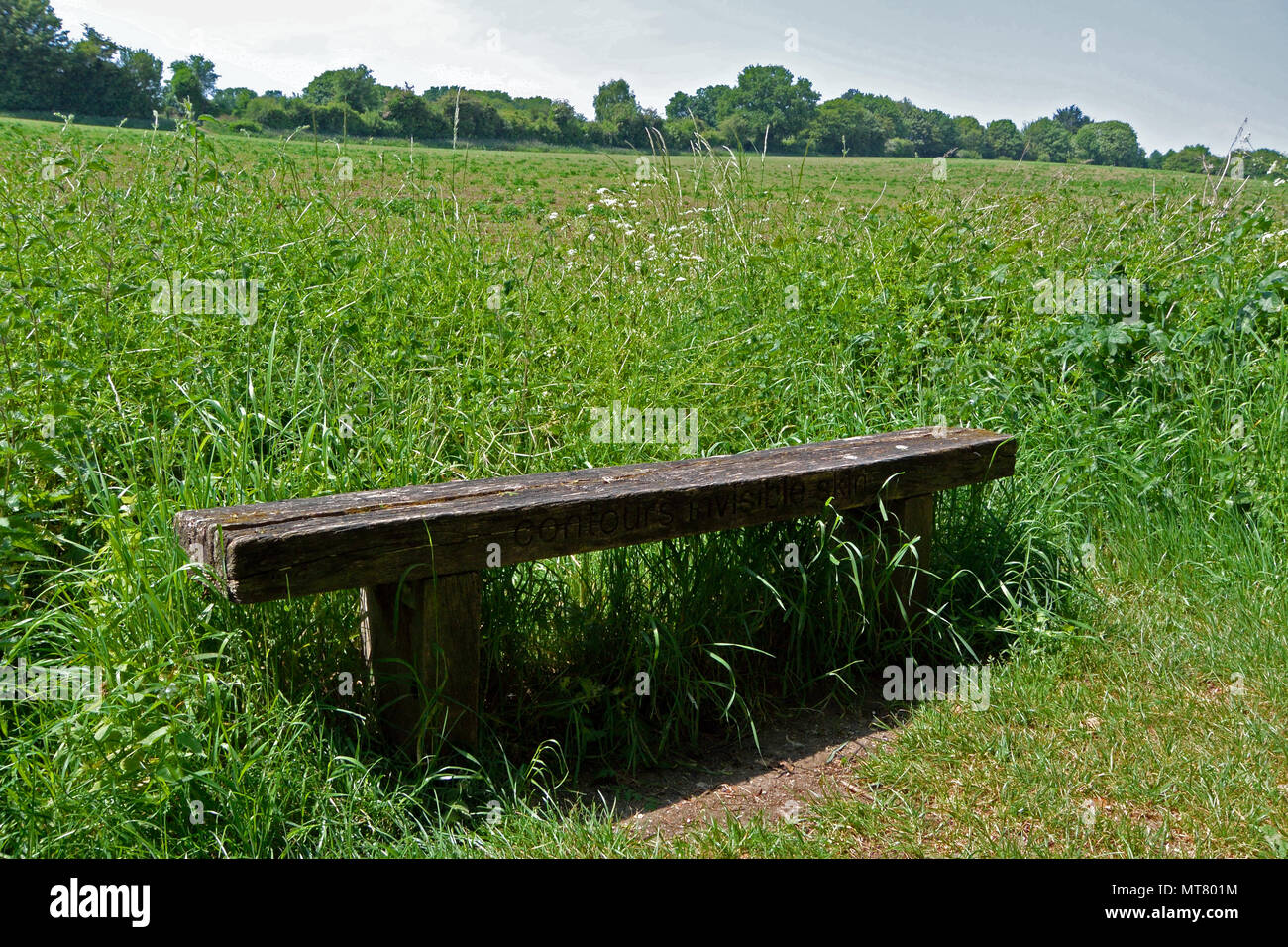 Bench beside Marriott's Way long-distance footpath / cycleway between ...