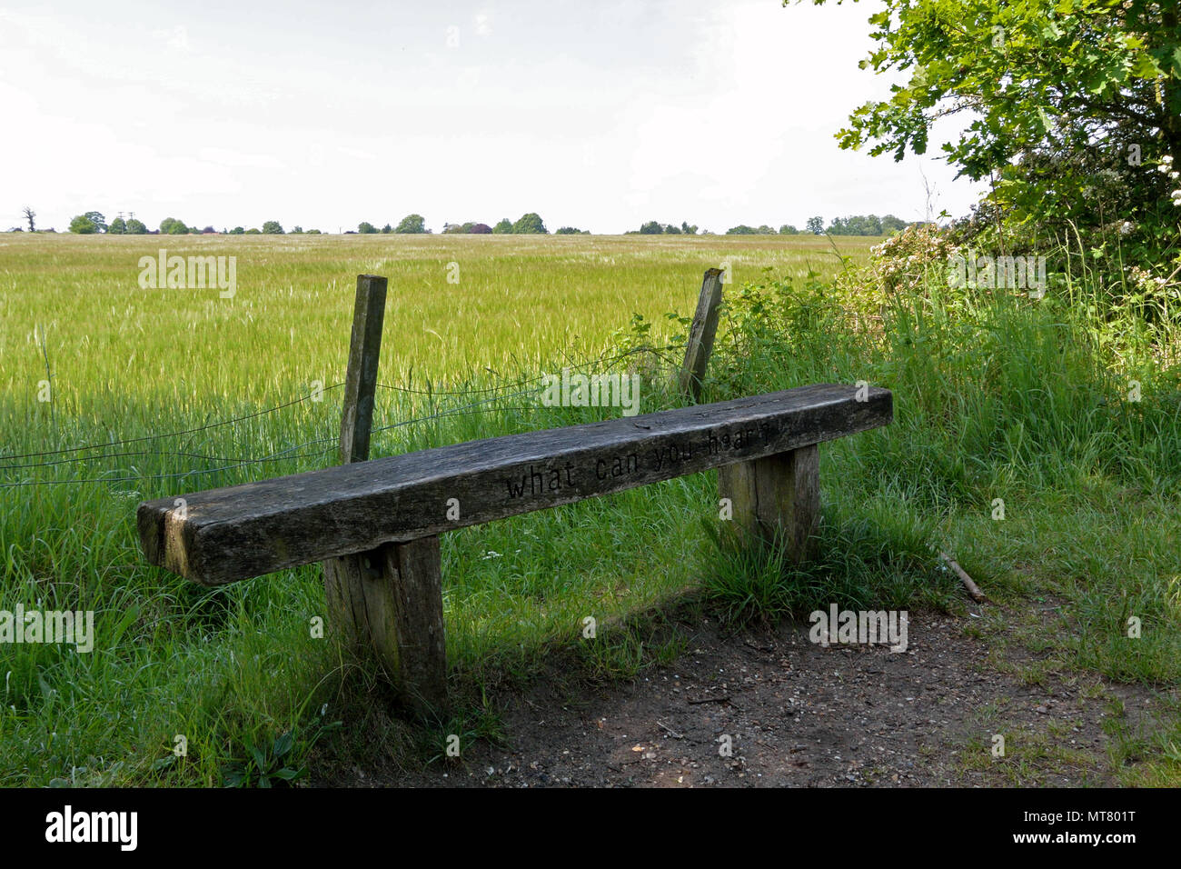 Bench by the side of Marriott's Way long-distance footpath / cycleway ...