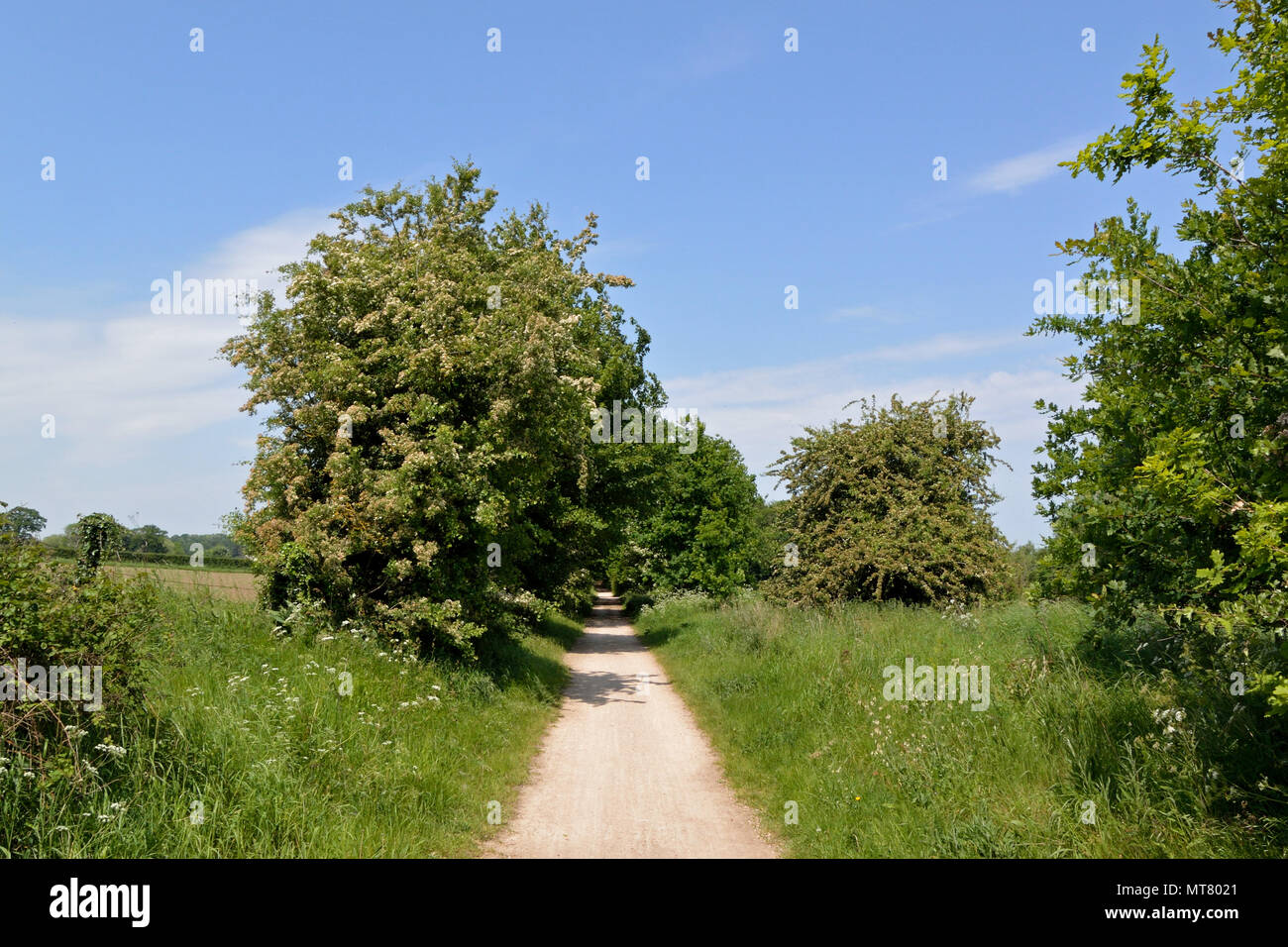 Marriott's Way long-distance footpath / cycleway between Norwich and ...