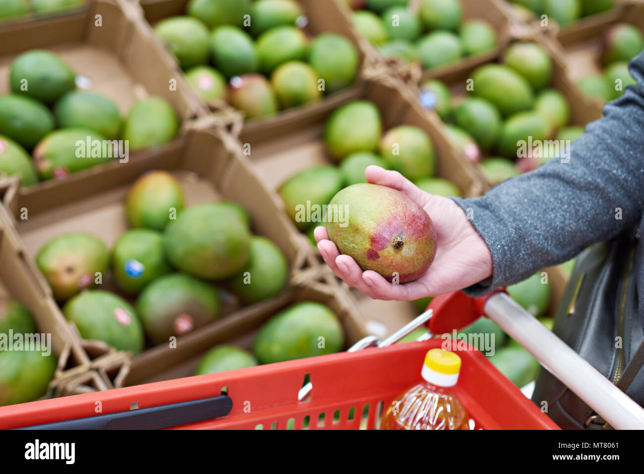 Mango fruit in the buyers hand in the grocery store Stock Photo - Alamy