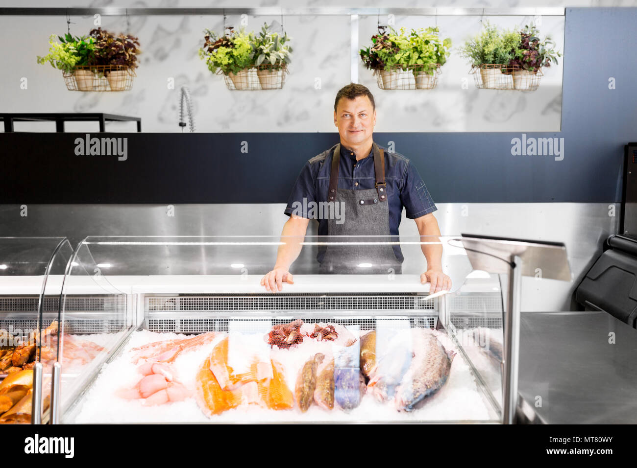 Fresh fishmonger shop equipment hi-res stock photography and images - Alamy