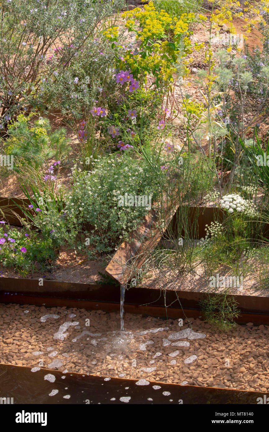 A rill feeding into a pond surrounded by plants including Daucus ...