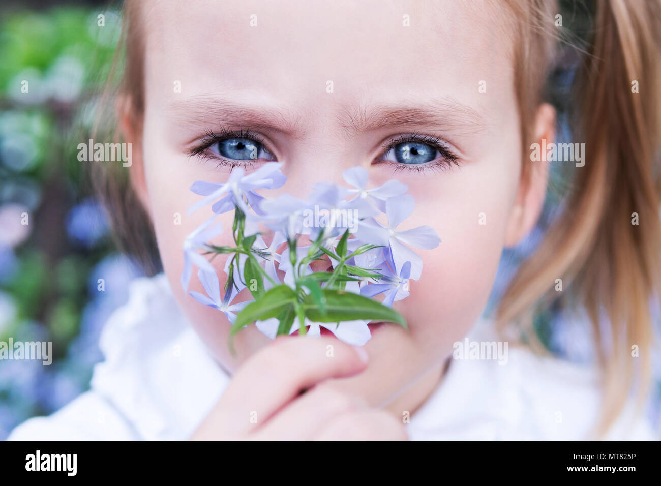 Portrait cute little girl sniffing hi-res stock photography and images ...