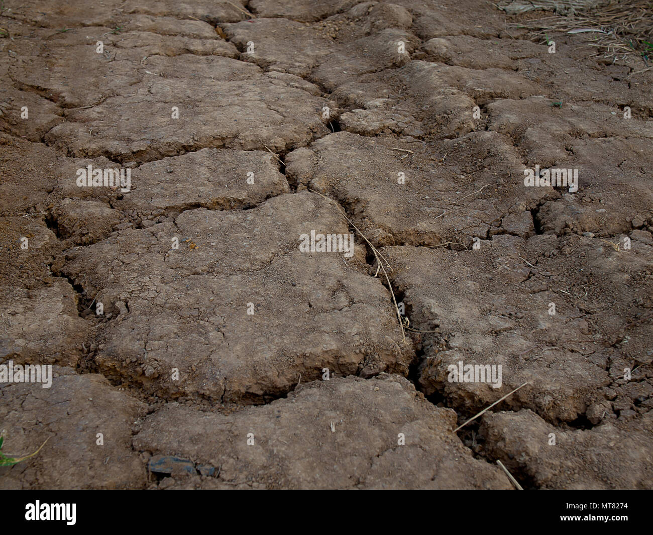 Break ground , breaks ground fissures of the ground Stock Photo - Alamy