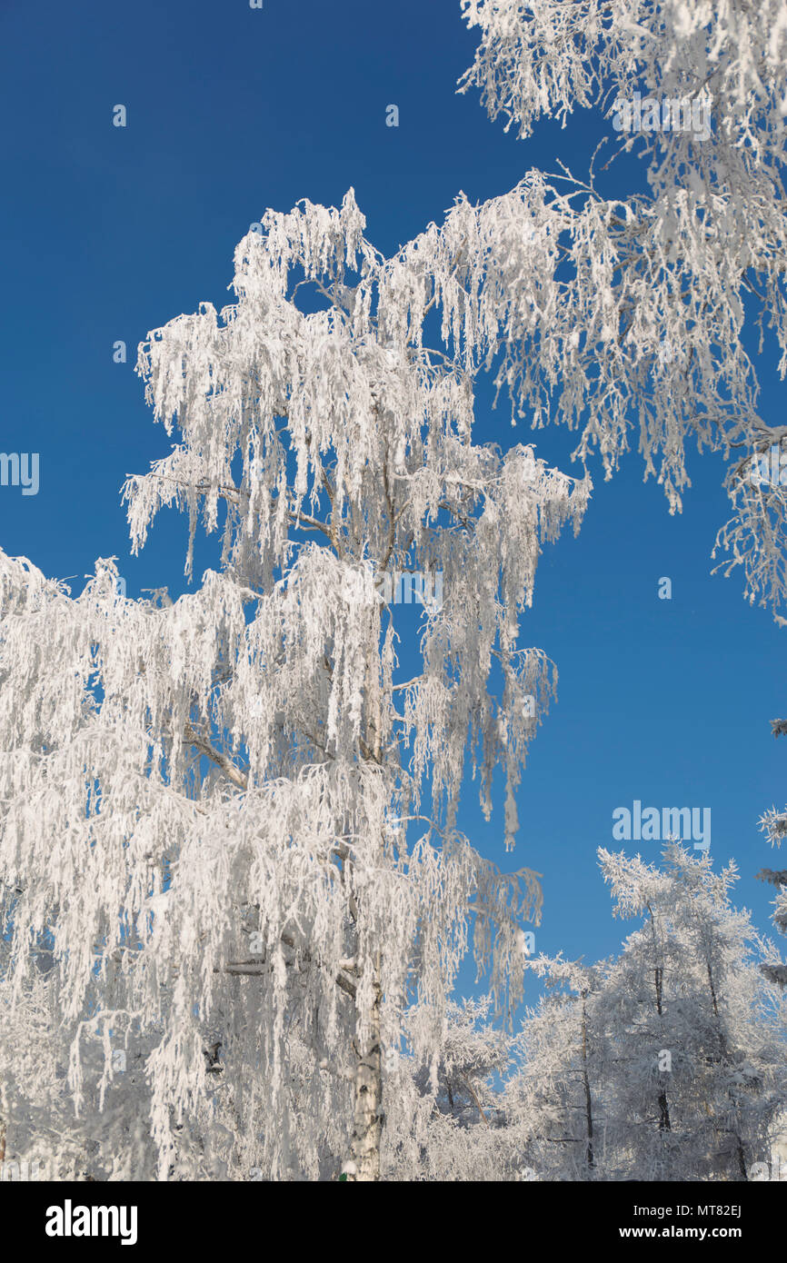 December landscape hi-res stock photography and images - Alamy