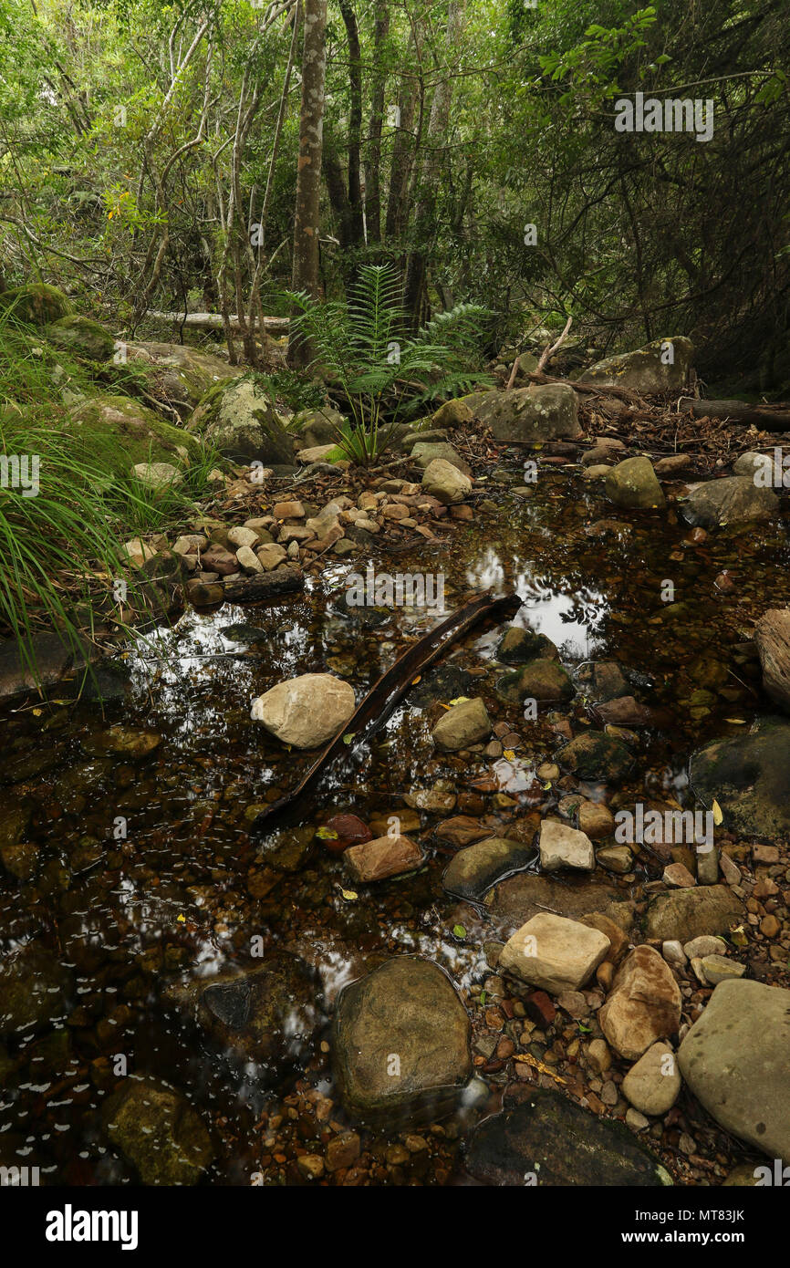 Skeleton gorge ravine hi-res stock photography and images - Alamy