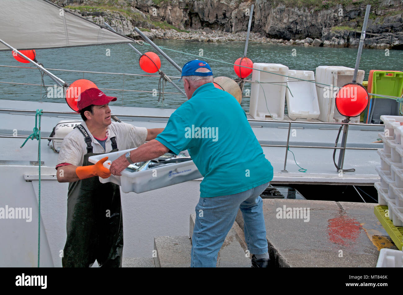 Off loading fish hi-res stock photography and images - Alamy