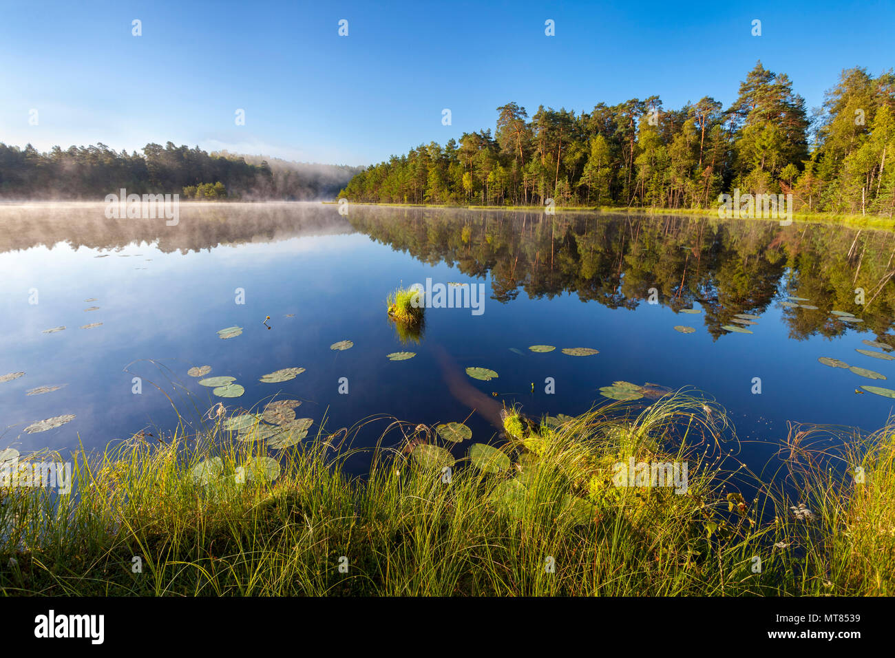 Warmia mazury hi-res stock photography and images - Alamy